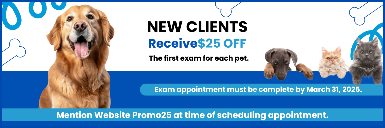 easyvet Winter Garden | Promotions